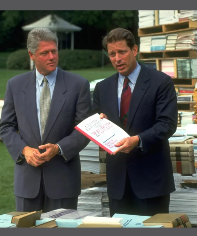 DOGE meets REGO: 32 years before Elon Musk, Al Gore did it first