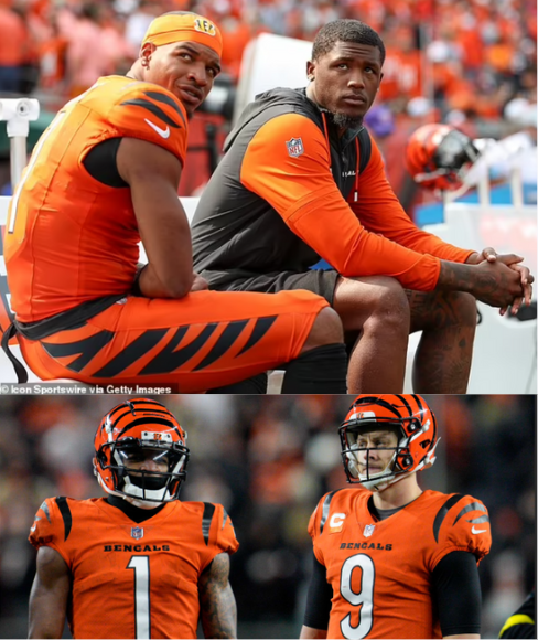Bengals Clap Back: Savage Shot at Stephen A. Smith & Pat McAfee After ...