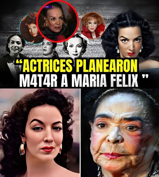 Maria Félix Murió Hace 23 Años Ahora Una Gran Verdad Es Revelada ...